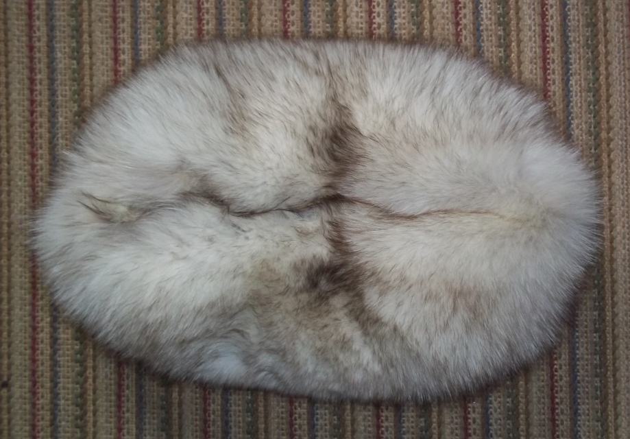 Ženska šubara od polarne lisice