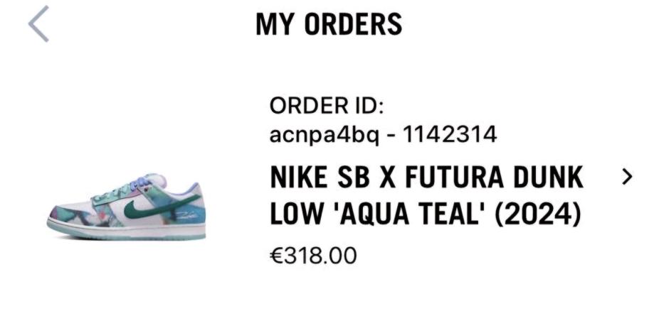 NIKE SB X FUTURE DUNK LOW AQUA TEAL (2024)