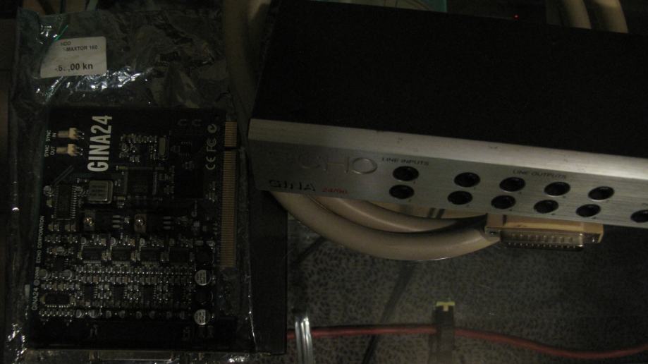 ECHO Gina 24