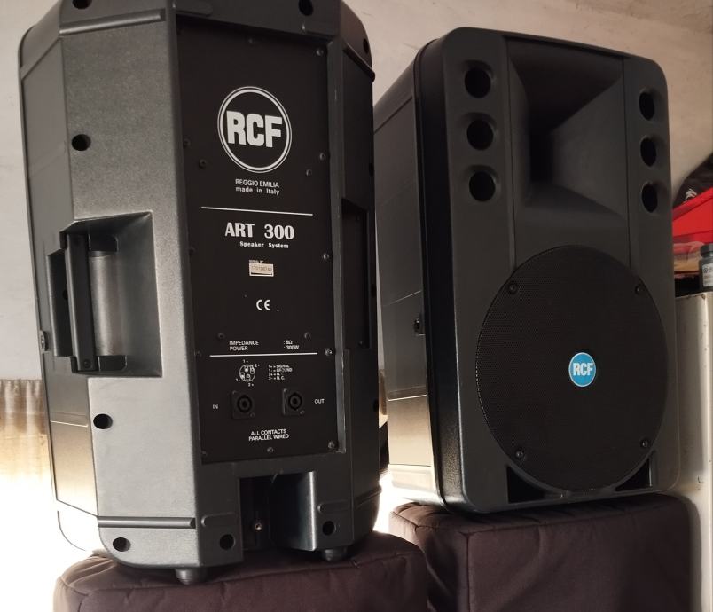 Rcf Art 300