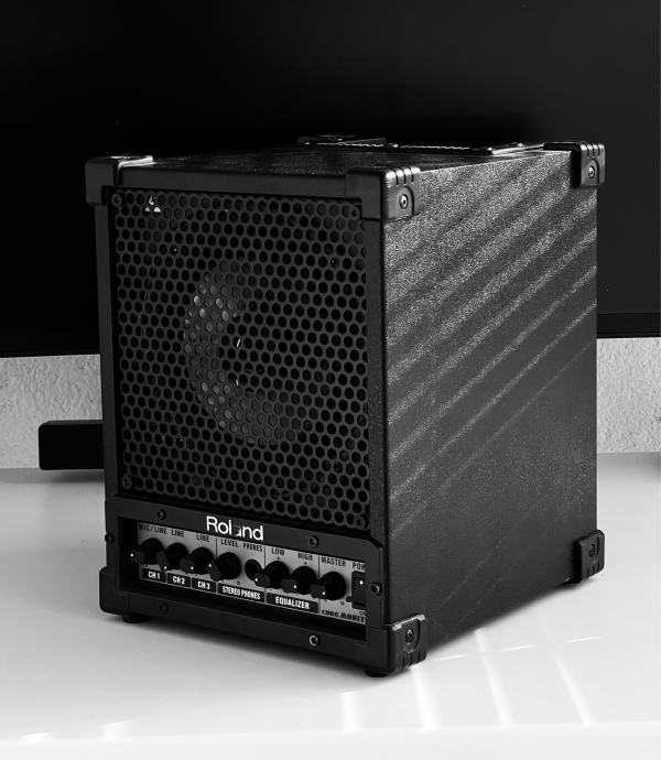 Roland CM-30 cube monitor