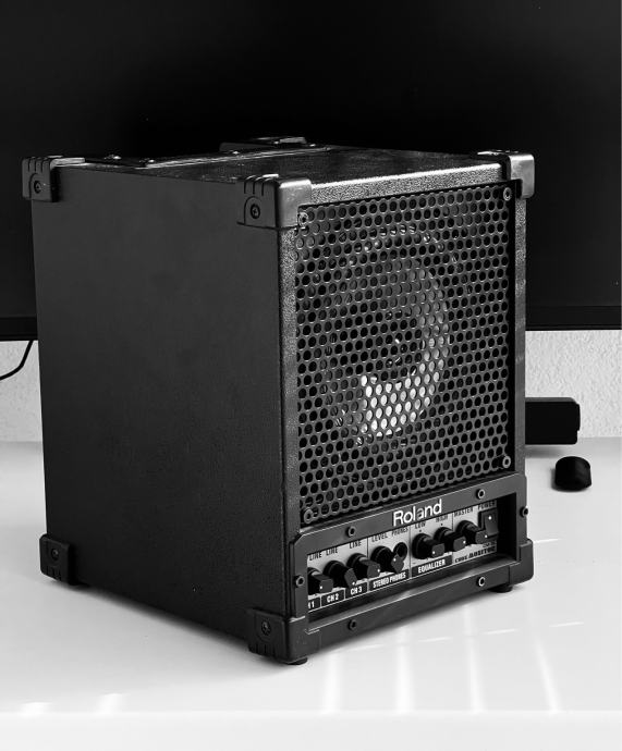 Roland CM-30 cube monitor