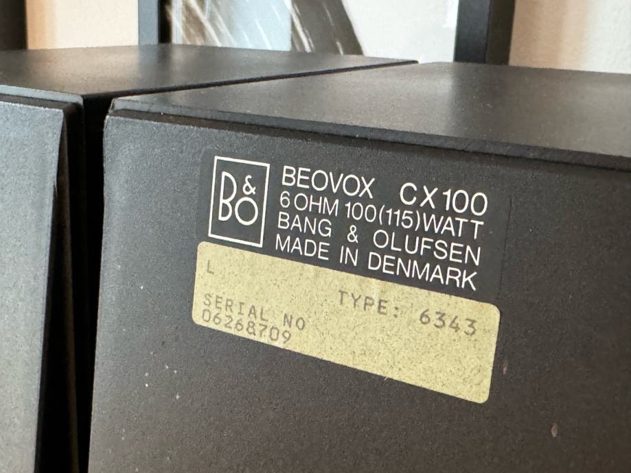 Bang Olufsen Beovox CX-100