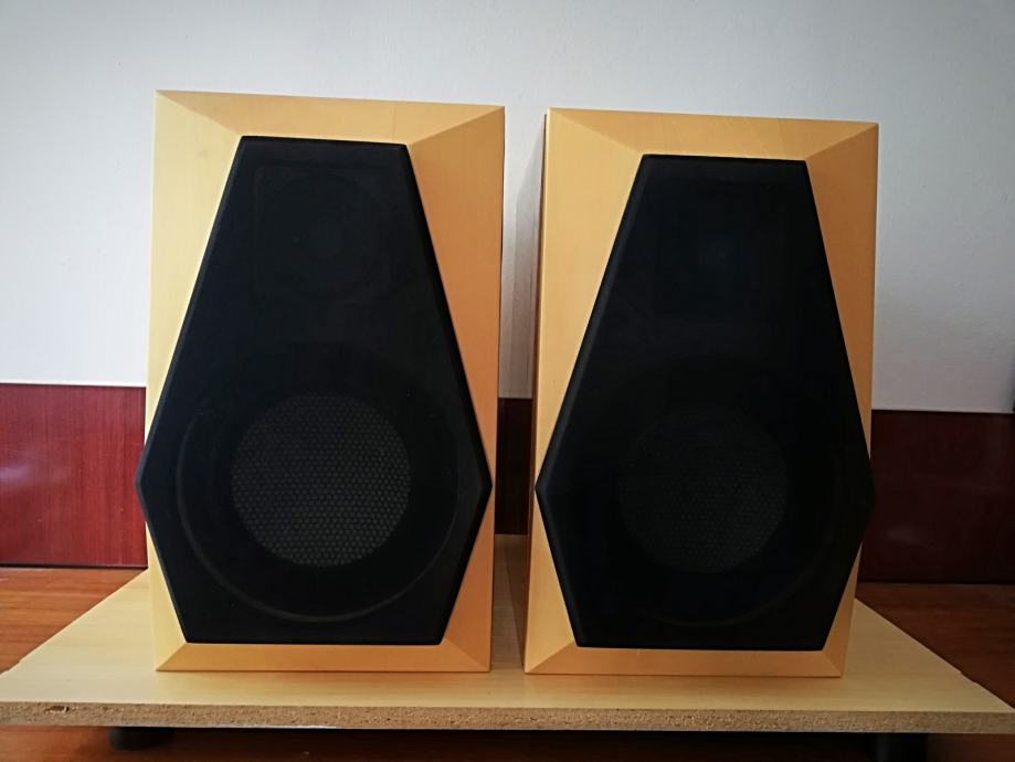 Consensus Audio / Accuton