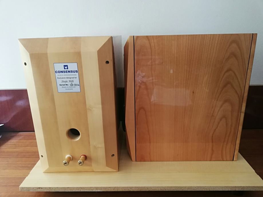 Consensus Audio / Accuton