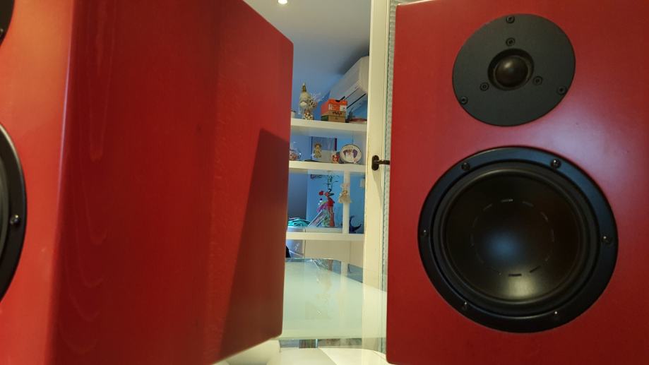 Dynaudio samogradnja DIY, High-End
