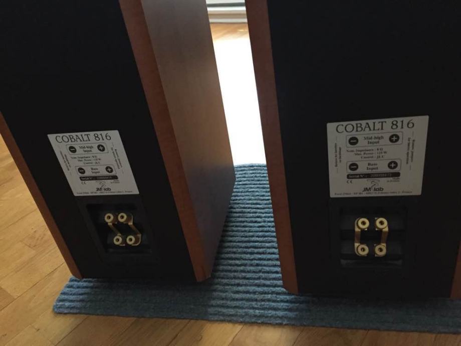 Focal/Jm Lab Cobalt 816