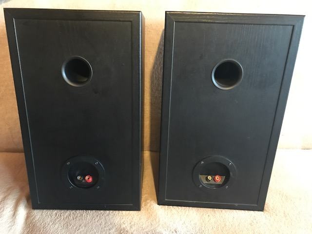 Infinity Reference 21i