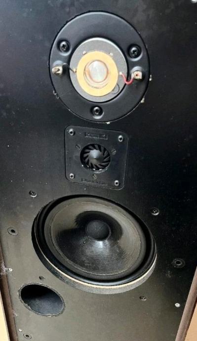 Rogers Export Monitor