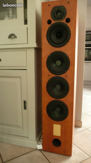 TRIANGLE LYRR XS RARE