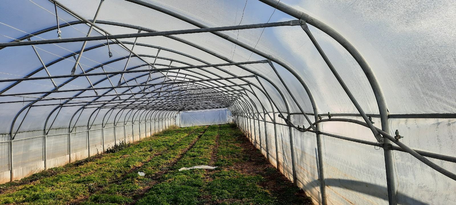 plastenik, plastenik konstrukcija 8×56 4000€