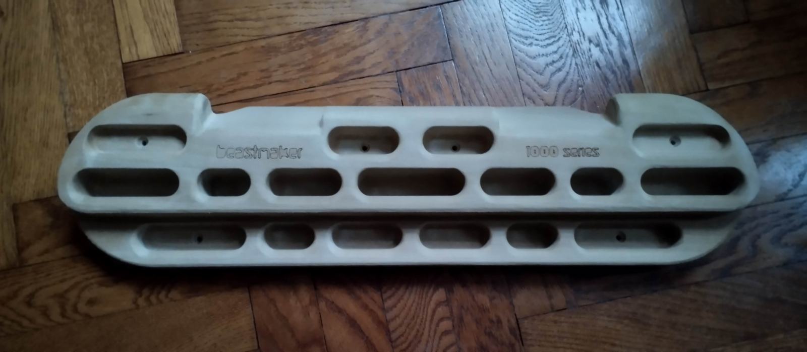 Beastmaker 1000 fingerboard hangboard