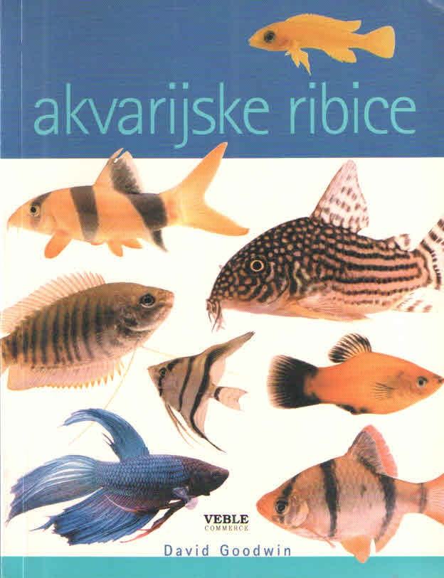 Akvarijske ribice