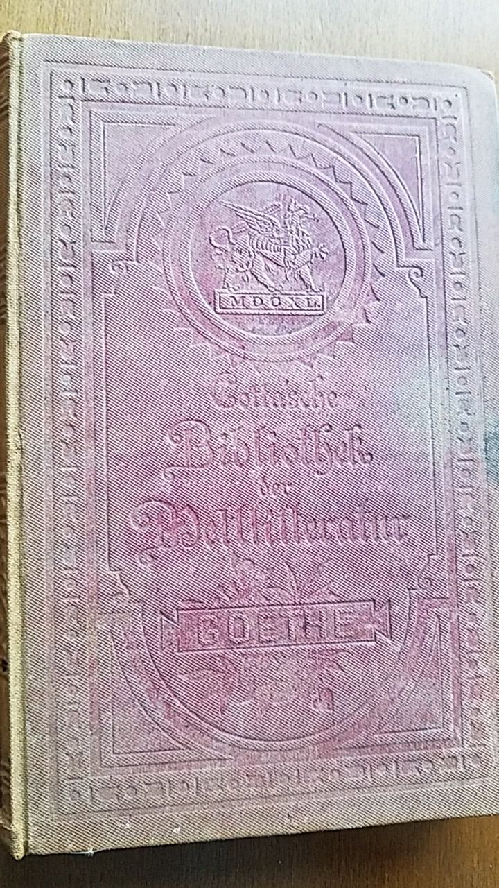 Johann Wolfgang von Goethe, Goethes Briefe an Frau von Stein