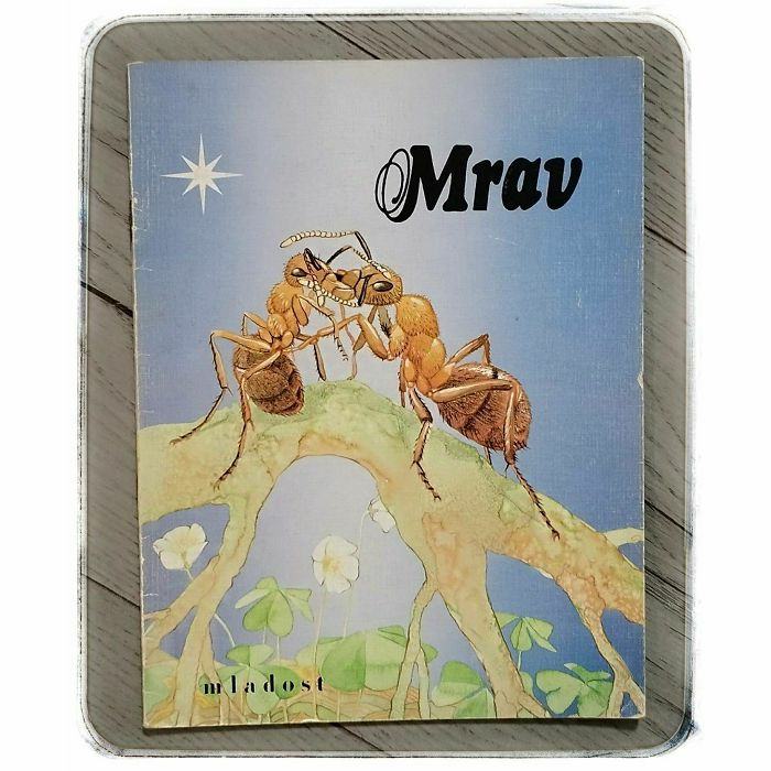 Mrav Frans Hoppenbrouwers