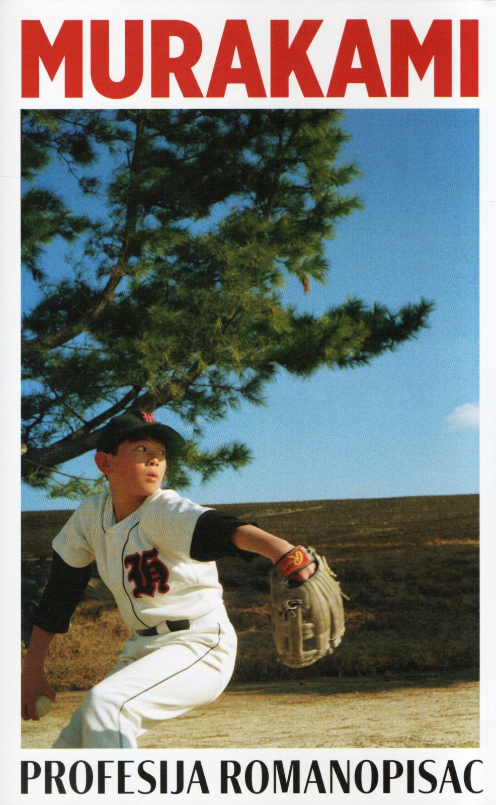 Profesija romanopisac