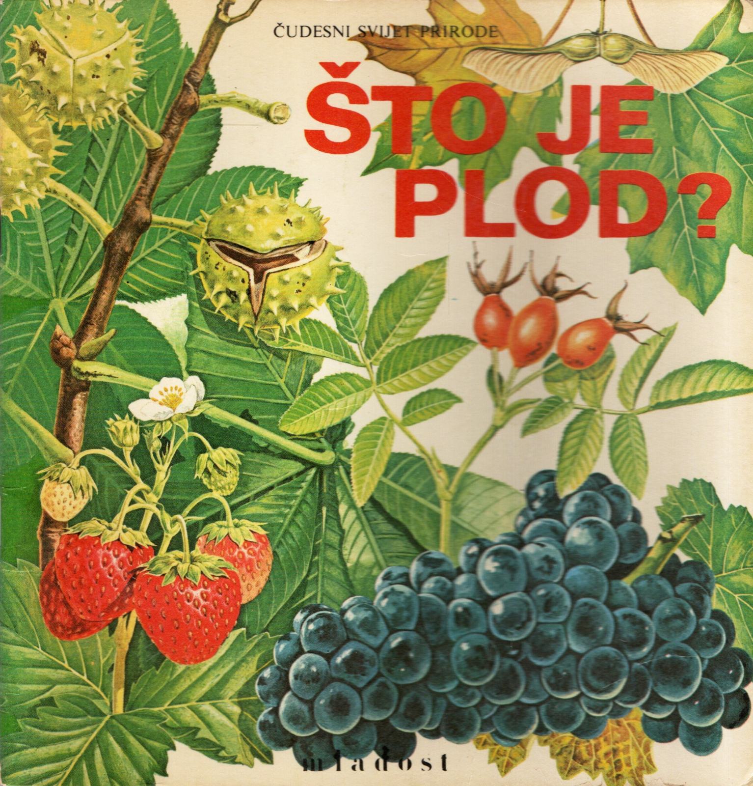 Što je plod?