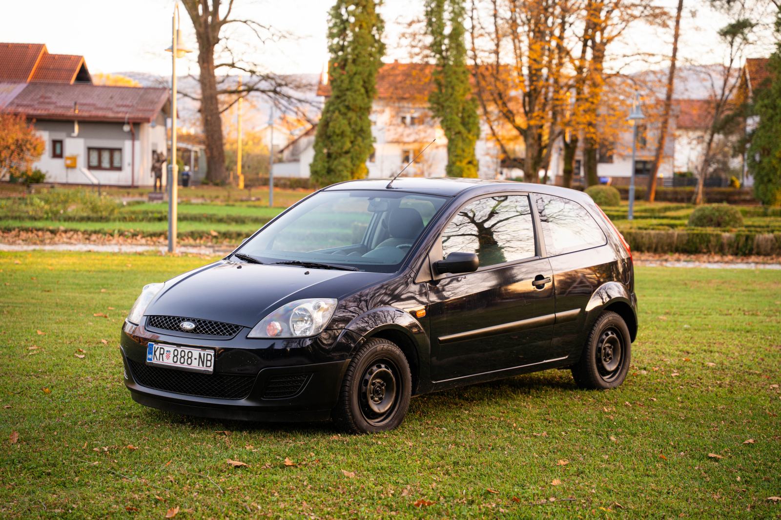 Ford Fiesta 1 25