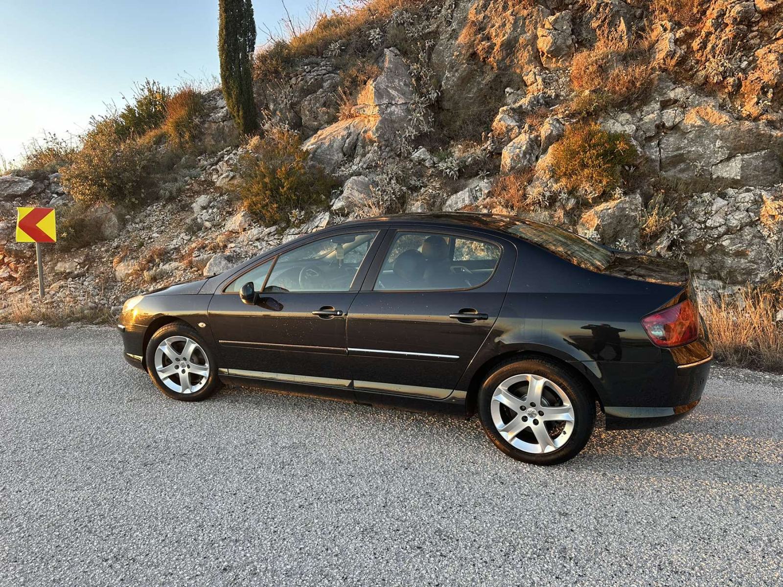 Peugeot 407 Sport 2,2 16V, 2007 god.