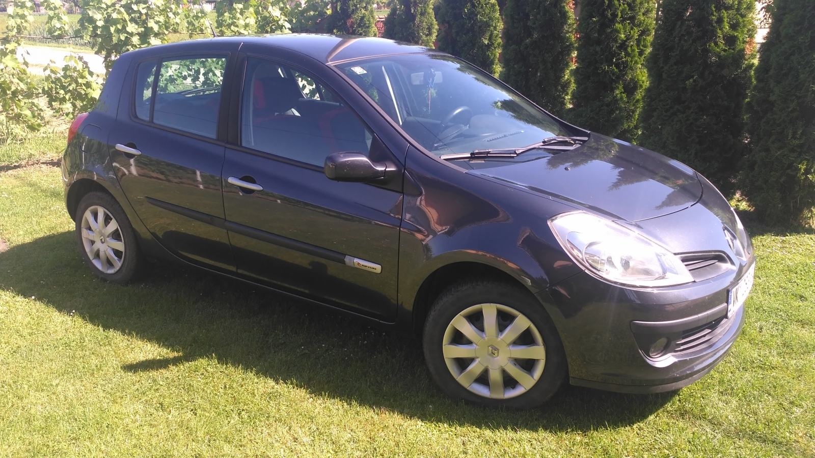 Renault Clio 1,5 dCi Rip Curl, 2007 god.