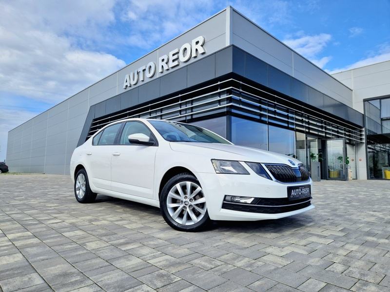 Škoda Octavia 1,6TDI Style REG.DO 04/06/2024, 2019 god.