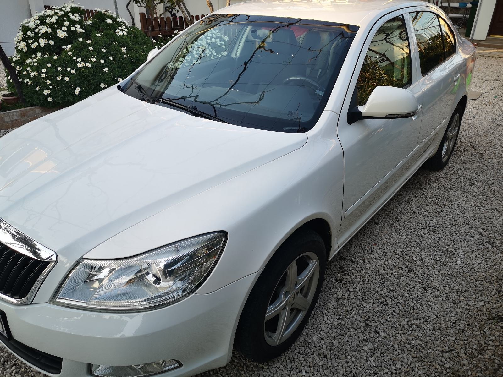Škoda Octavia, reg 3/23, 2011 god.
