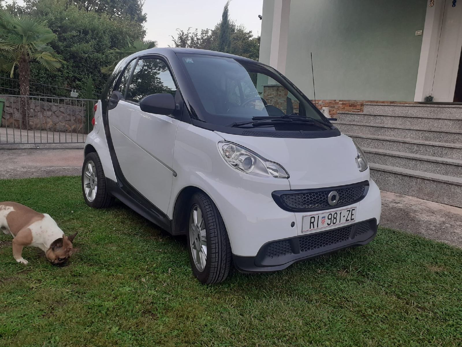 Smart fortwo coupe 451 M1, 2014 god.