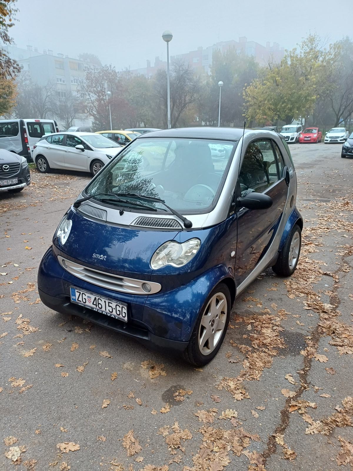 Smart fortwo coupe Pulse, 2002 god.