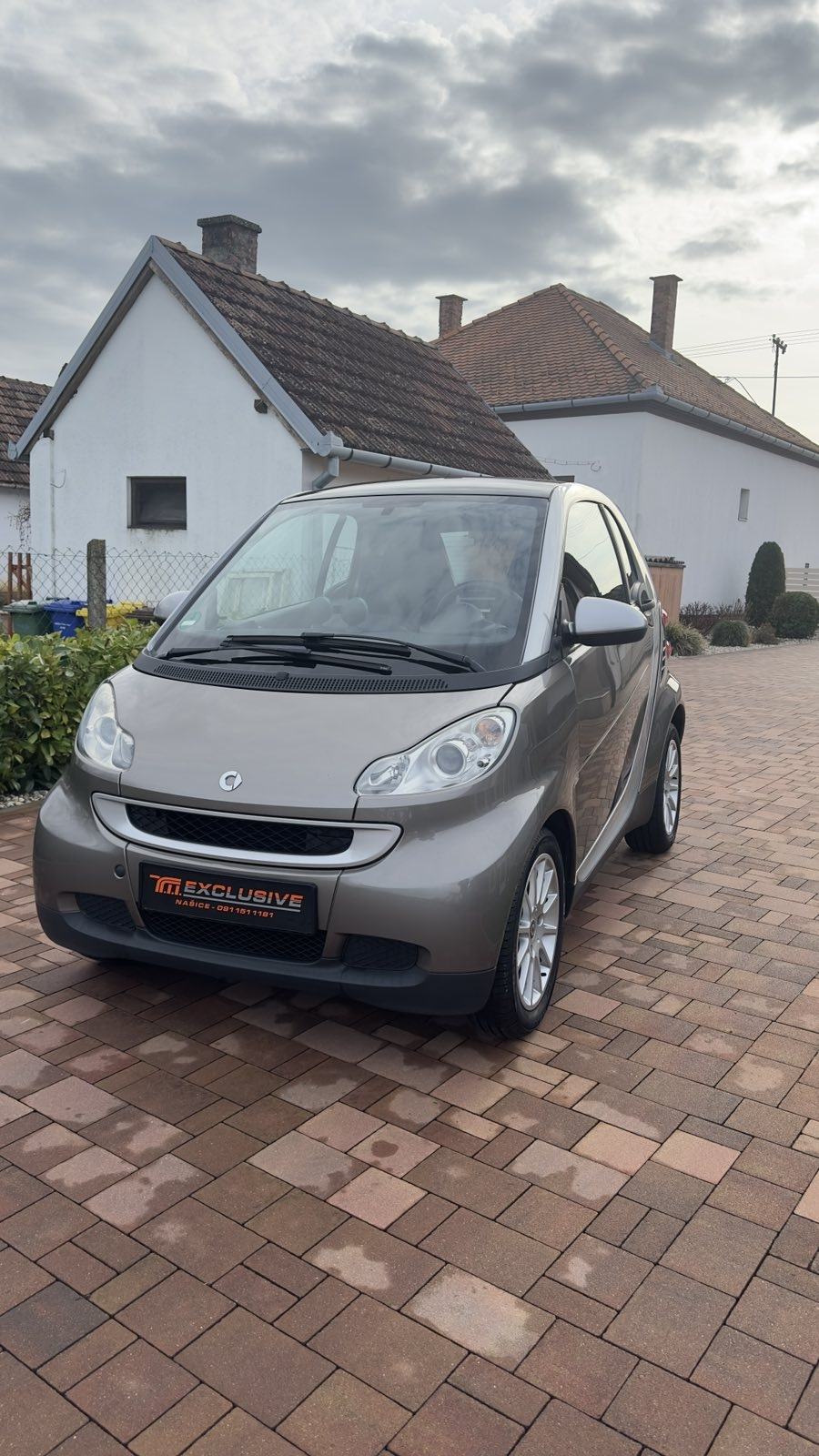 Smart fortwo coupe Pulse Softip, 2009 god.