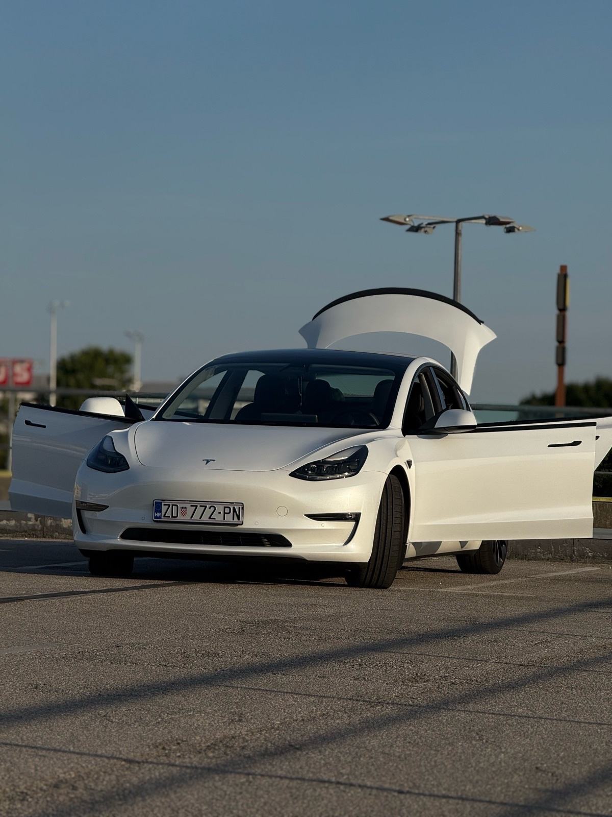Tesla Model 3 Performance 2021, 2021 god.