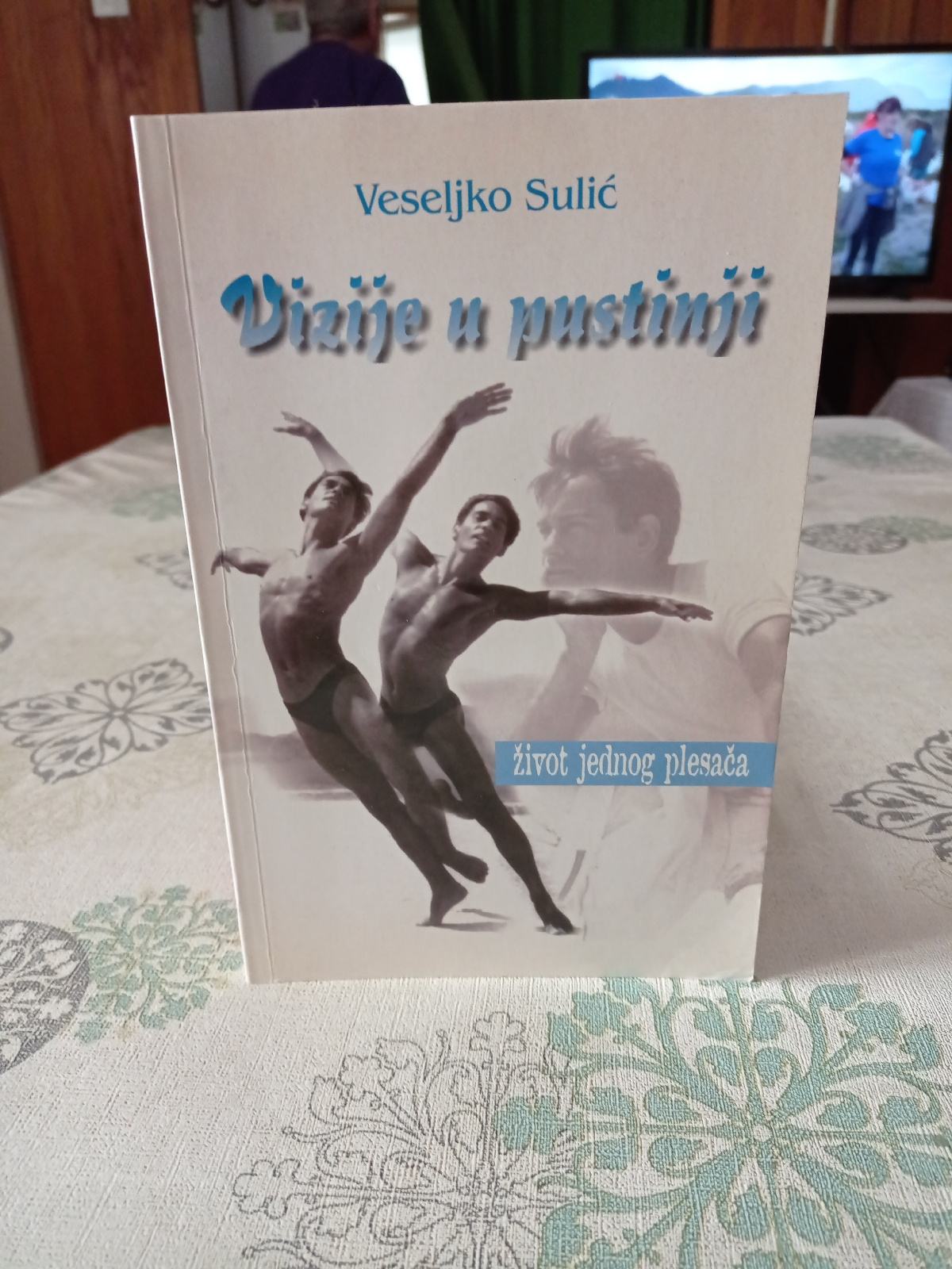 V.Sulić Vizije u pustinji
