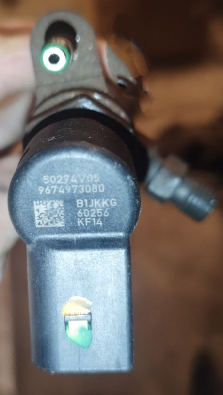 Dizna Continental 50274V05