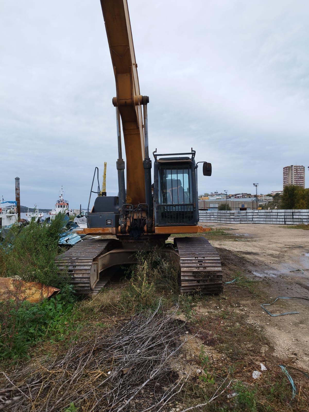 Case CX290B bager sa dugom rukom i granom za rušenje zgrada