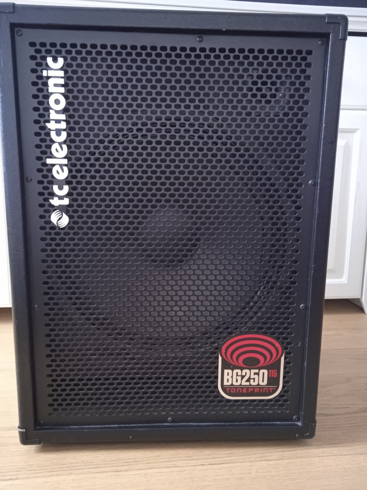 TC Electronic BG 250 - 115 combo (zvučnik petnaestica)