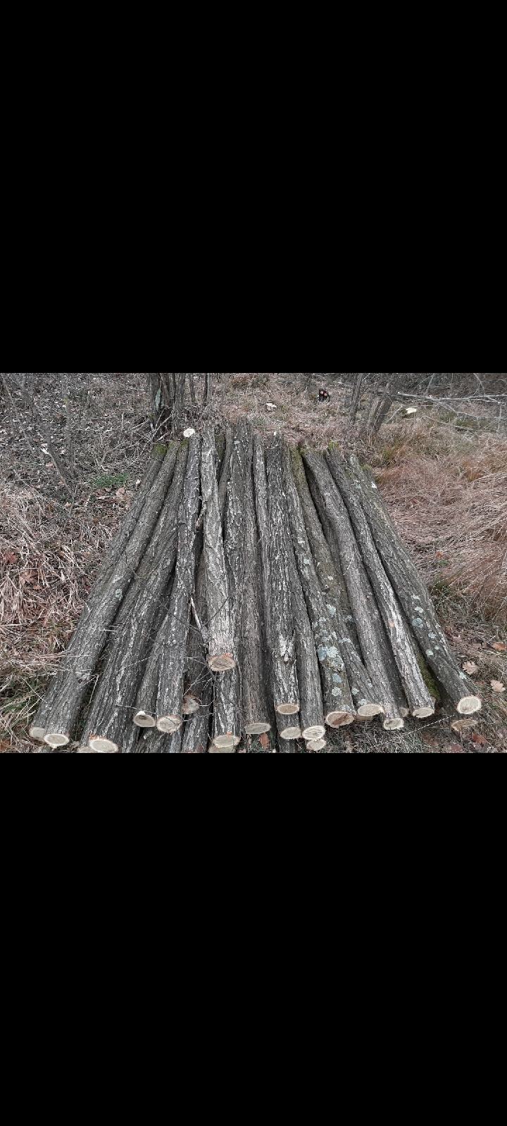 Stupovi od akacije/drače