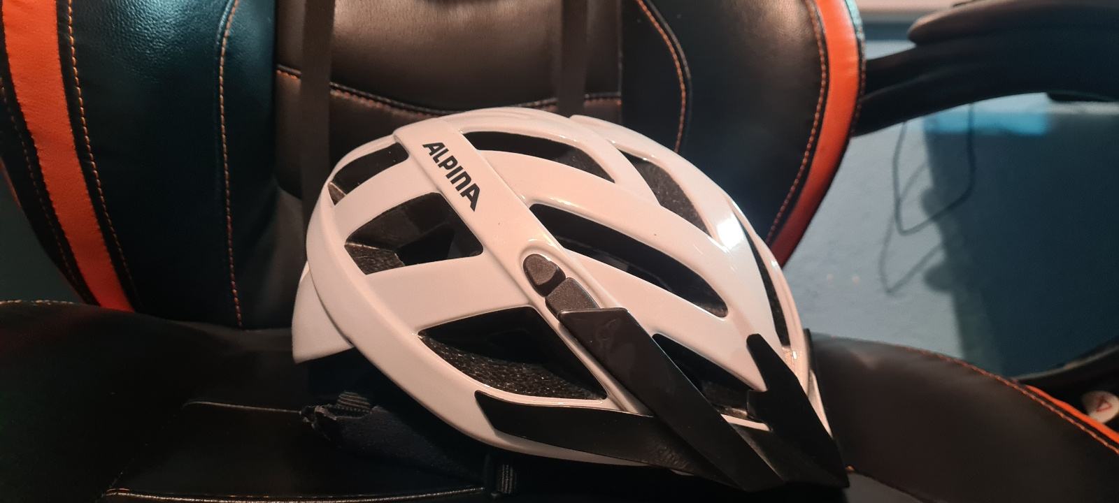 Alpina Panoma Classic