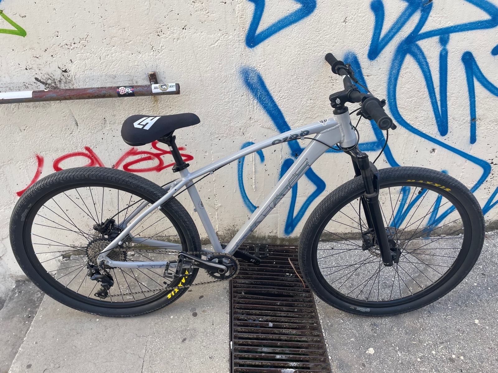 Collective bike C100