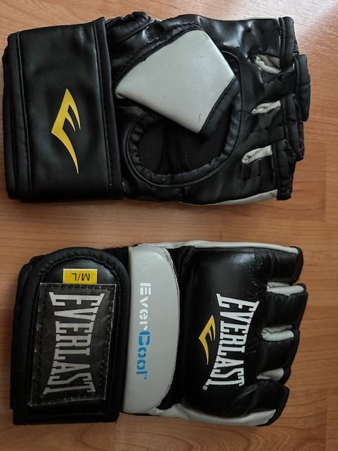 Everlast rukavice za MMA Kickboxing - evercool