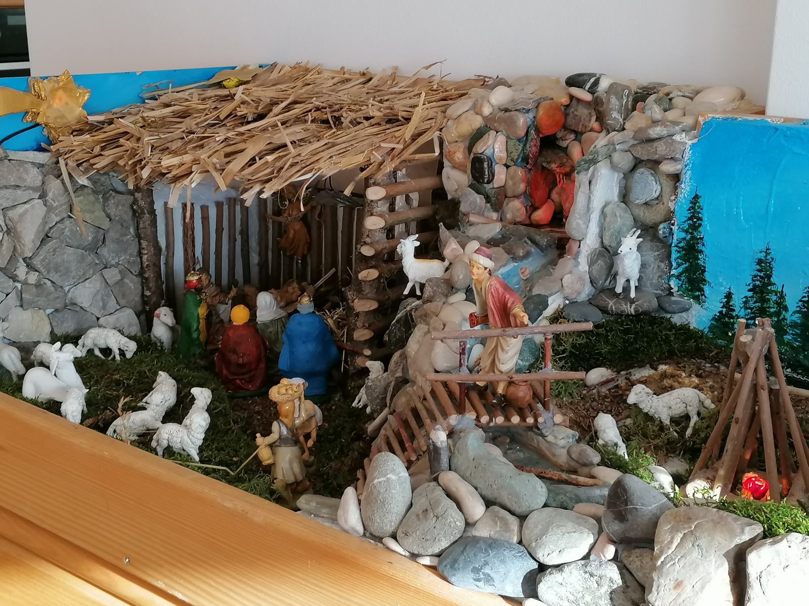 Prodam divne JASLICE