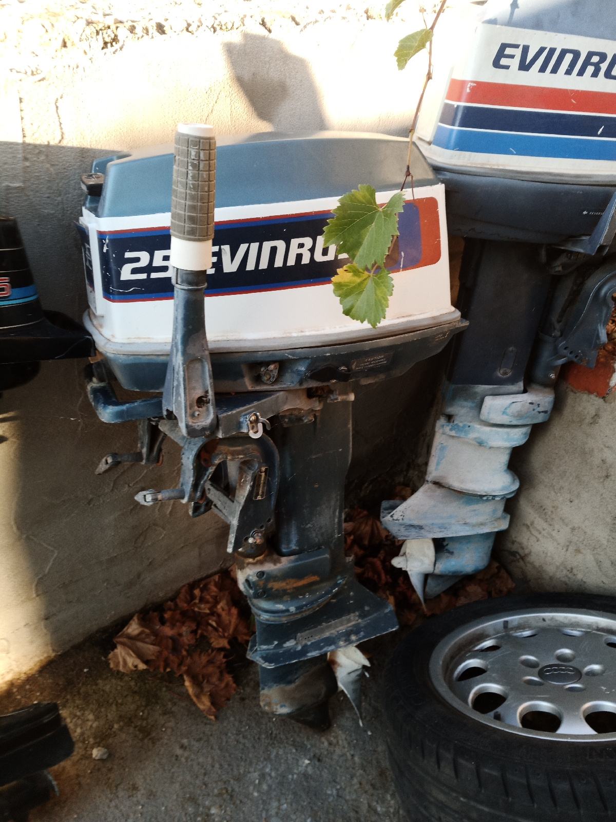 evinrude 25 ps