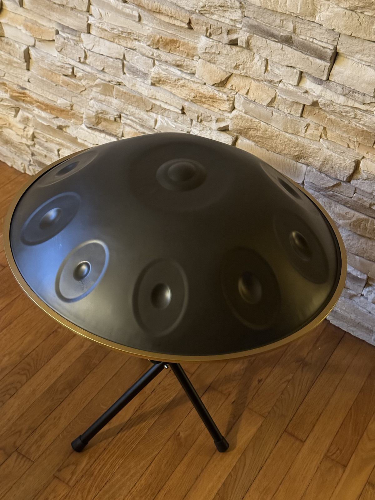Handpan space-drum bubanj tolkala 10 not 440Hz D-Minor+ torba+stalak