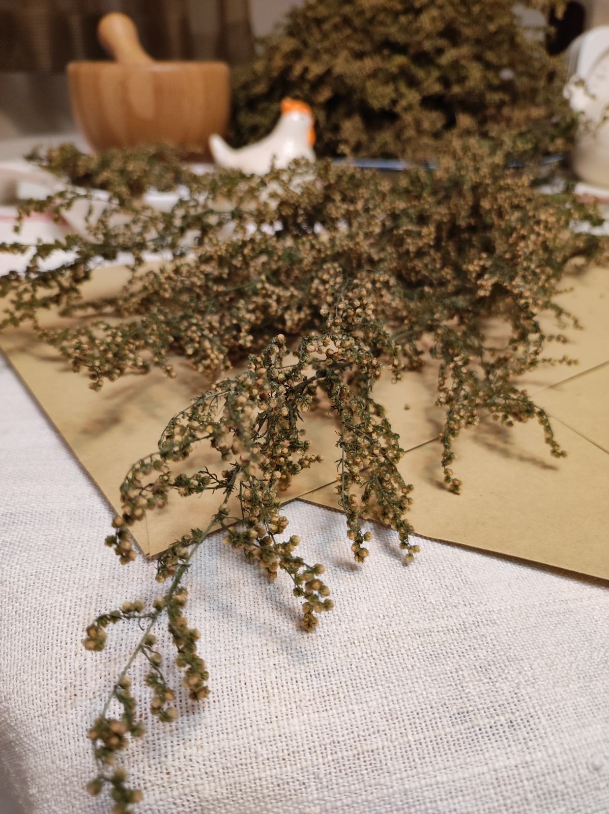 Slatki pelin (Artemisia annua) za čaj