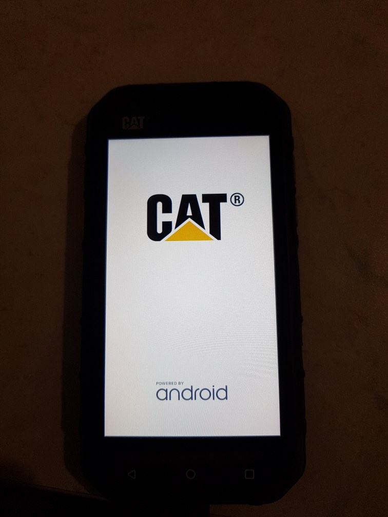 Cat S30