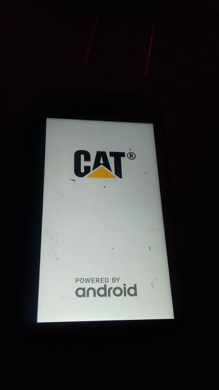 cat s31