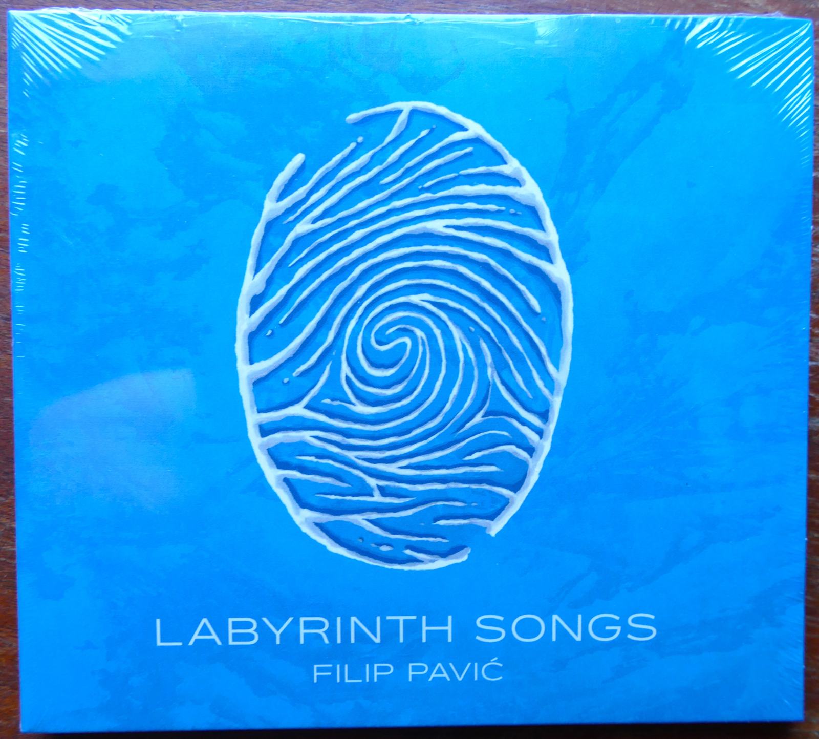 Filip Pavić: Labyrinth songs