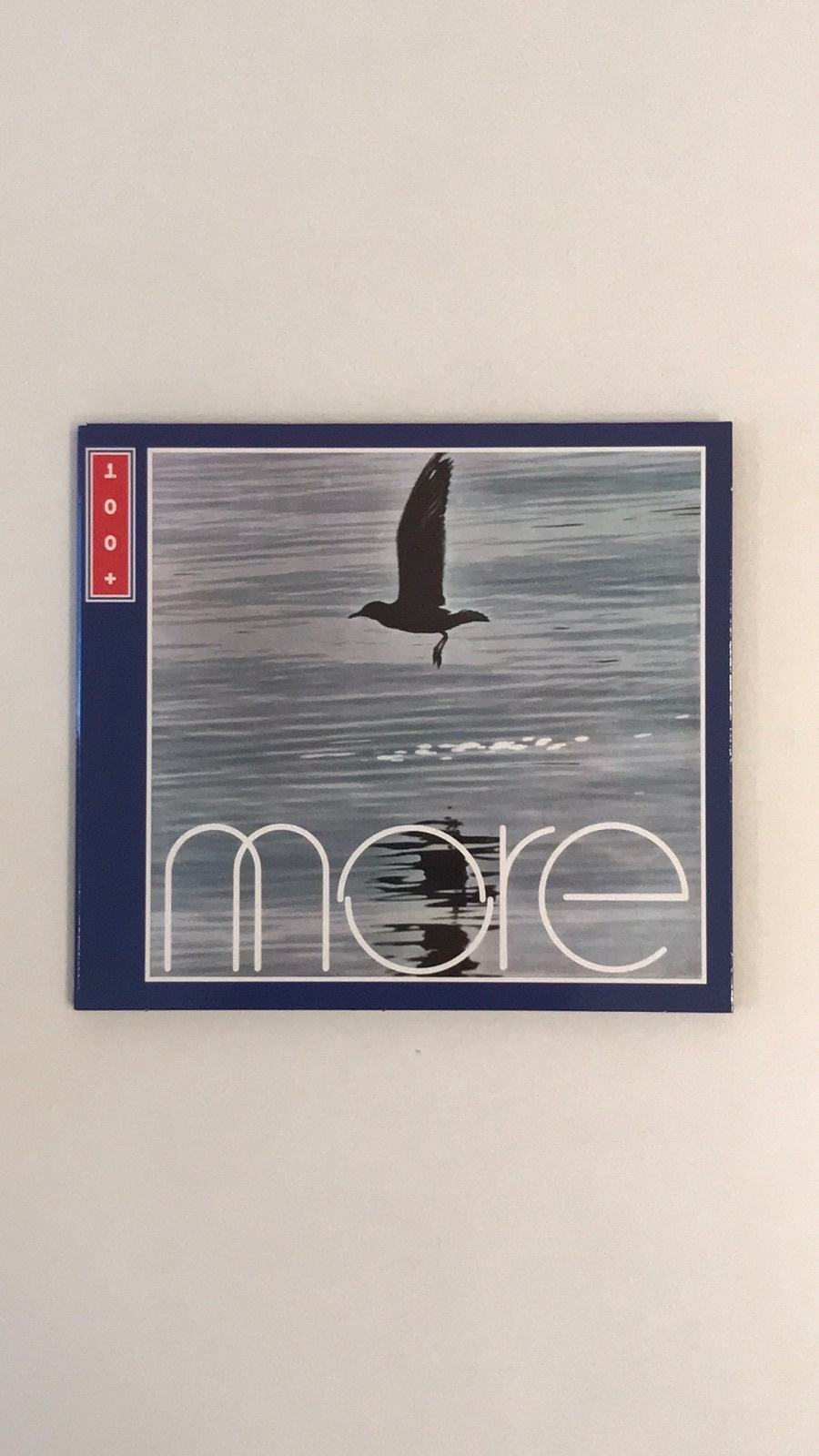 Grupa MORE