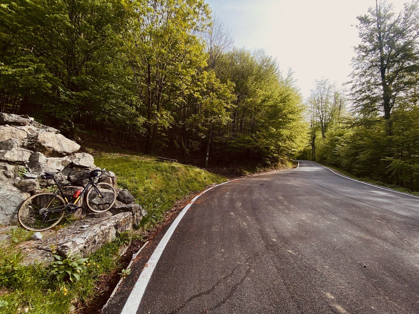 Cube Attain 105 rim brakes