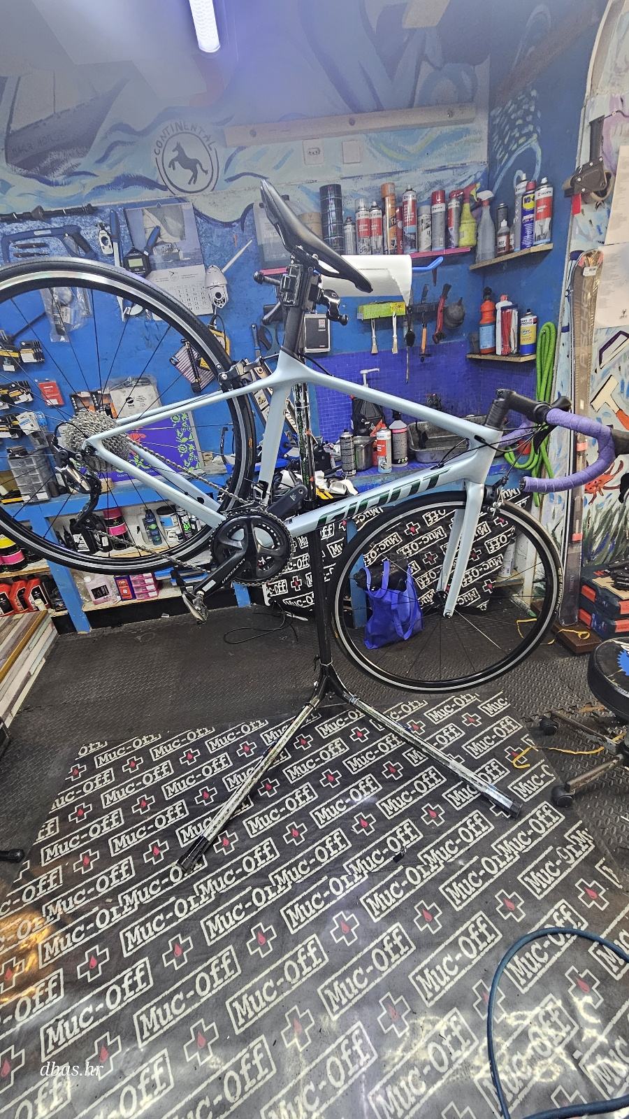 Giant tcr S velicina