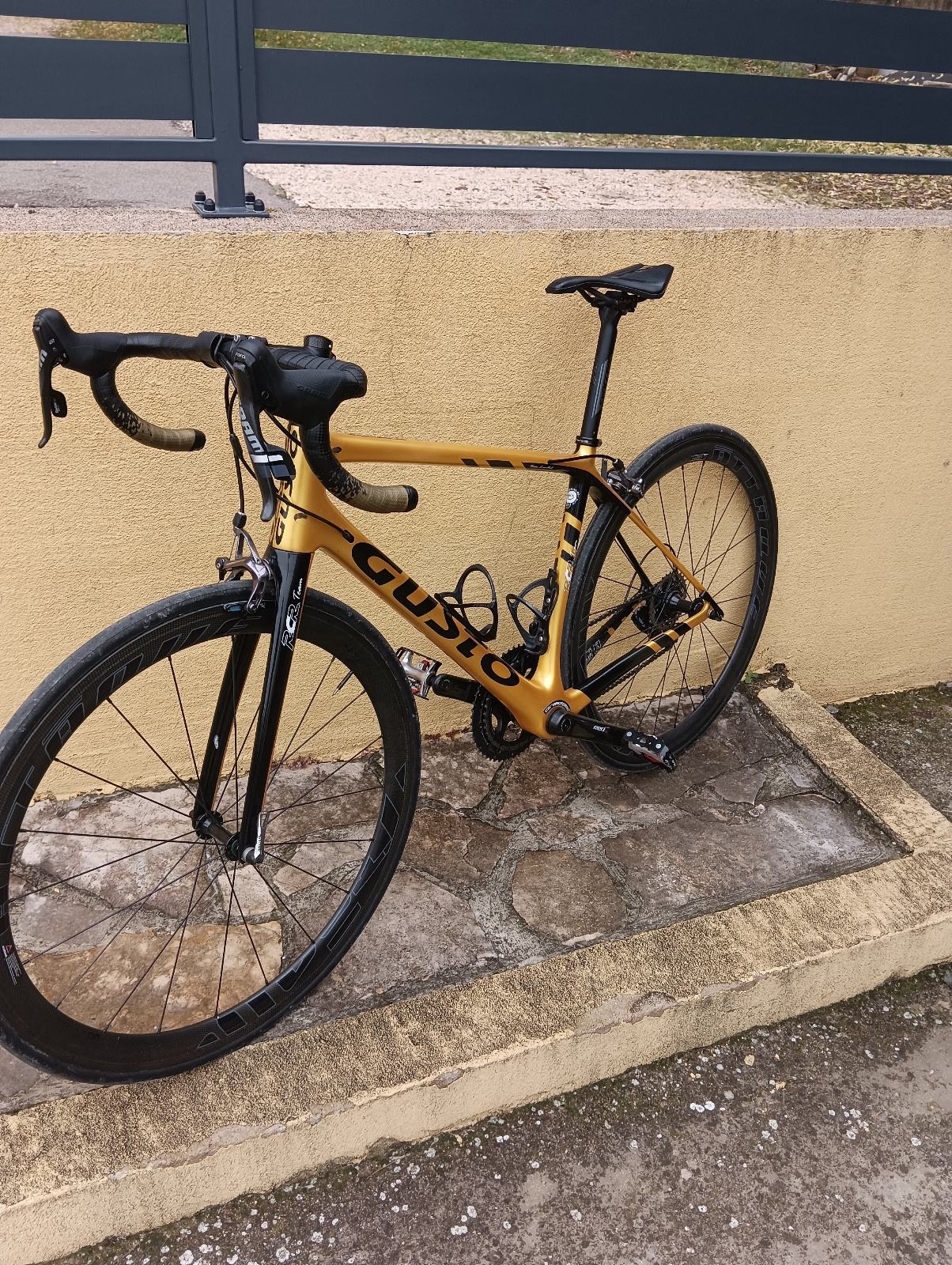Gusto rcr team limited