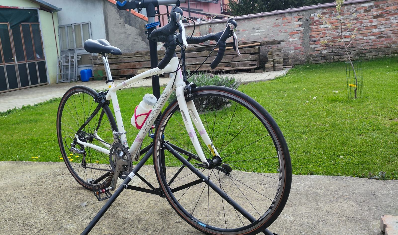 Specialized dolce lady